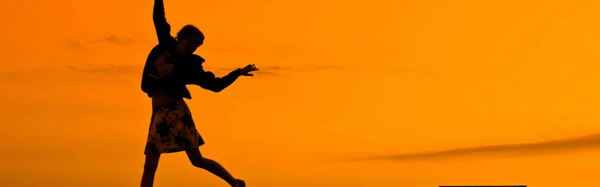 Values - Hanson Search