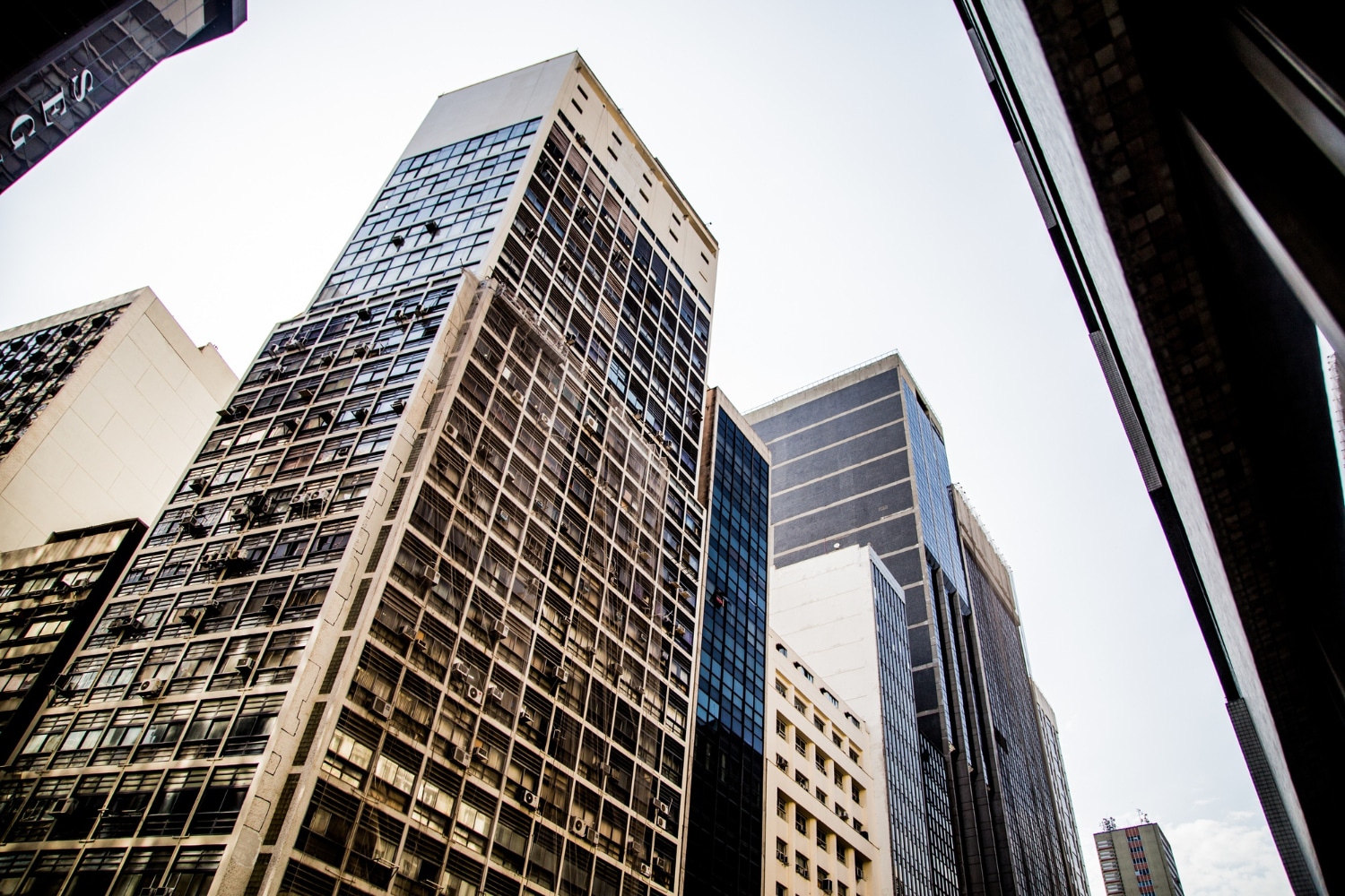 The Chief Political Officer: Board-Level Impact